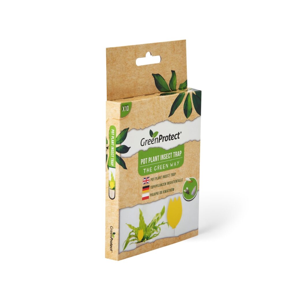 Pot Plant Insect Trap