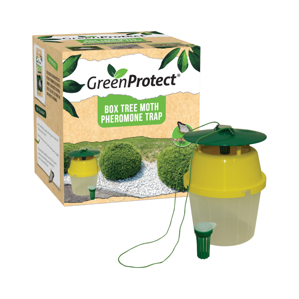 Green Protect Box Tree Moth Trap